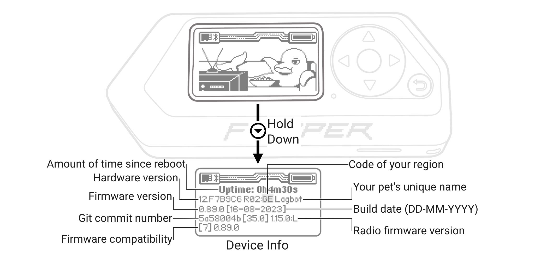 Controls - Flipper Zero - Documentation